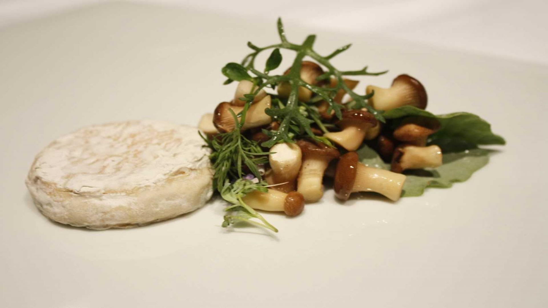 SPAIN, Mugaritz - Spain - Connoisseur's