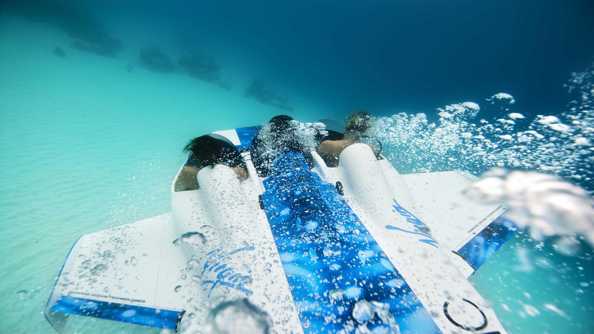 Necker Nymph - British Virgin Islands - Connoisseur's