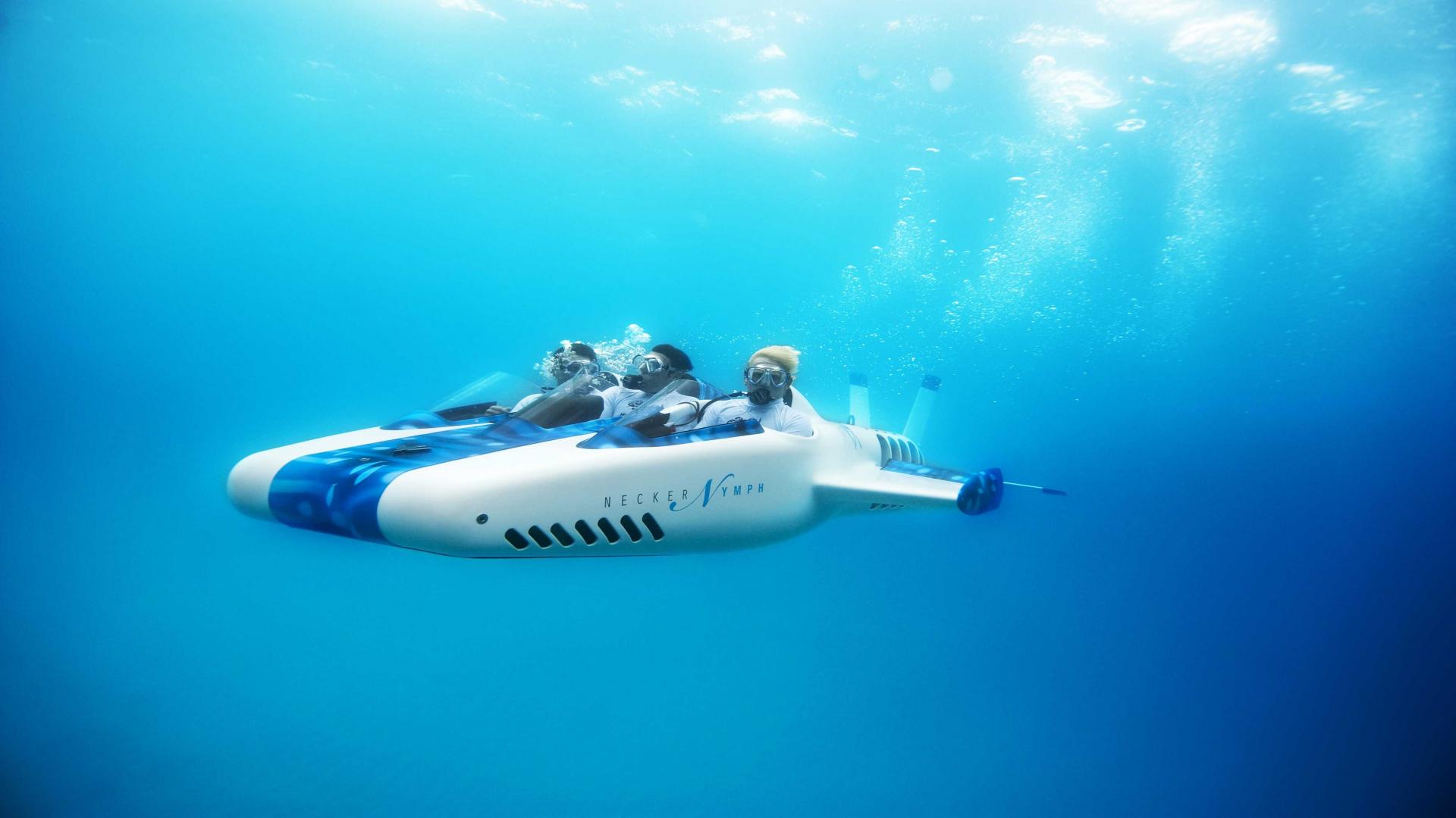 Necker Nymph - British Virgin Islands - Connoisseur's