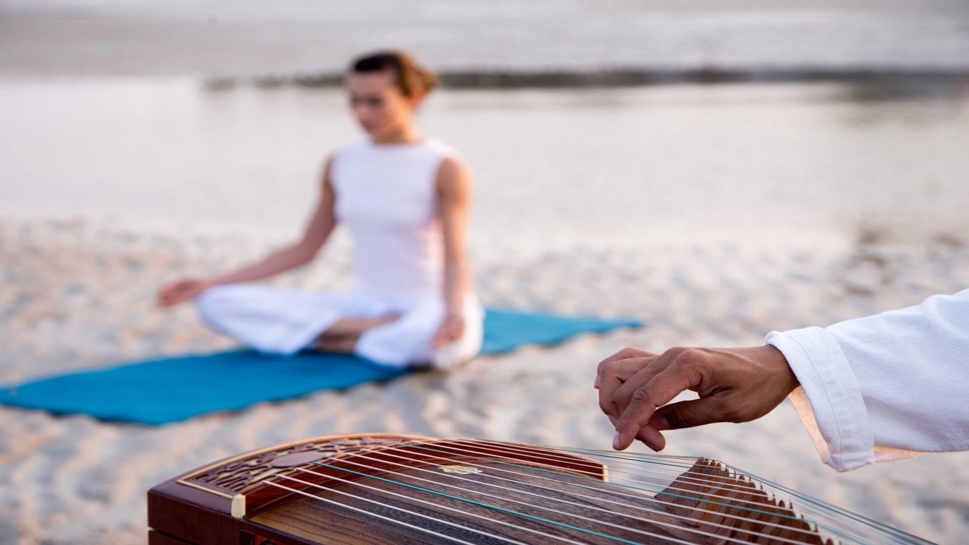 Ananda in the Himalayas - India - Connoisseur's